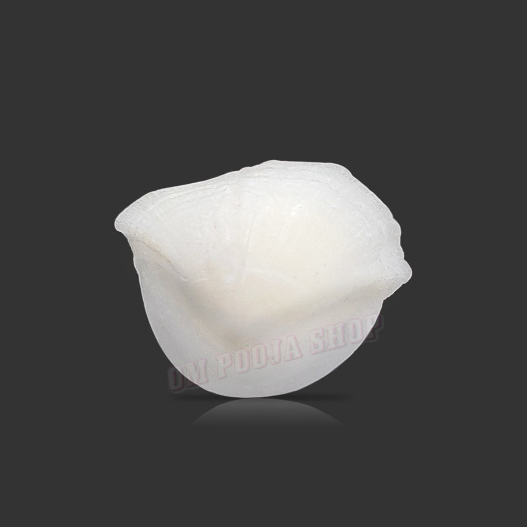 Macchmani Fish Pearl Stone, Vedic Astrology Remedy - Om Pooja Shop - Etsy