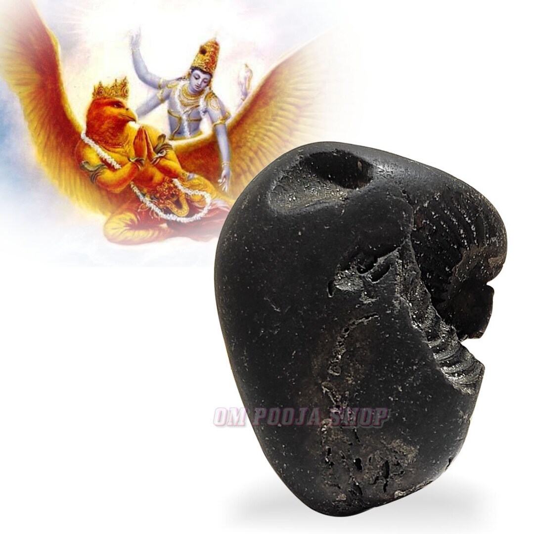 Garuda Vishnu Shaligram Shila Stone 100% Natural Shila From Nepal ...