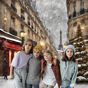 Paris Christmas Backdrops Xmas Paris Backgrounds Photo Props Studio ...