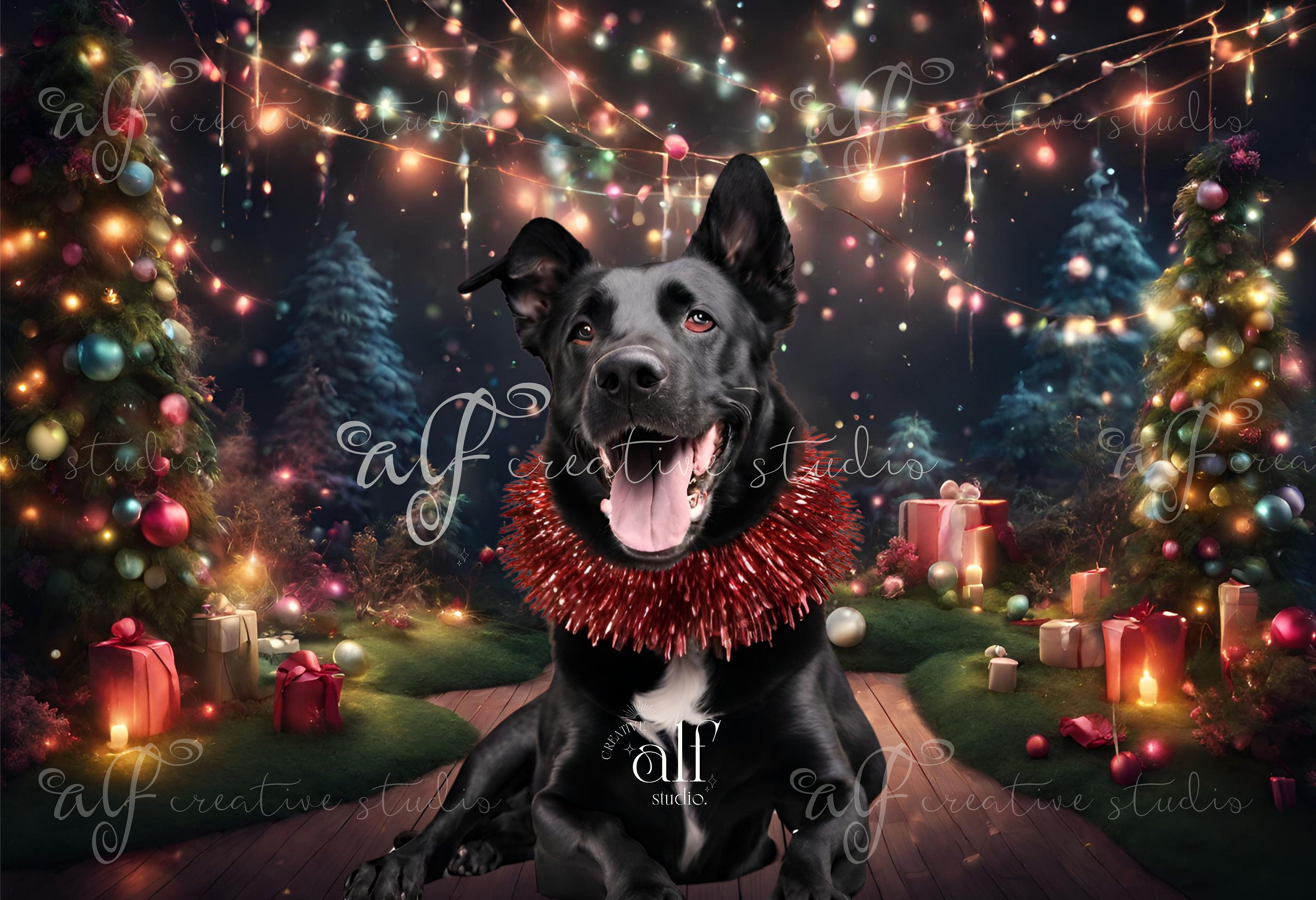 Pets Background Christmas Digital New Year Backdrops Enchanted Pet ...
