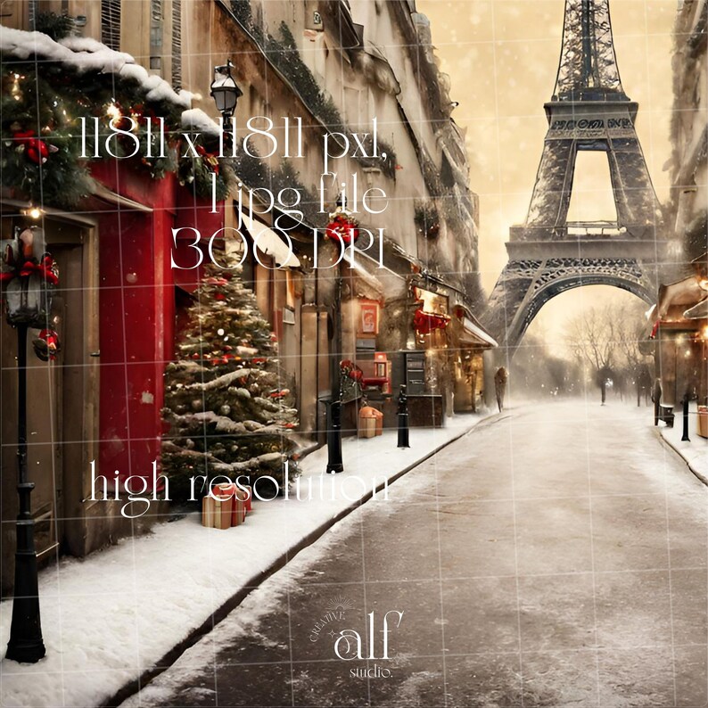 Christmas in Paris Backdrops Xmas Paris Backgrounds Photo Props Studio ...