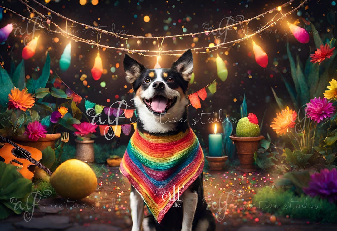 Cinco De Mayo Pets Background Digital Cinco De Mayo Backdrops Printable ...