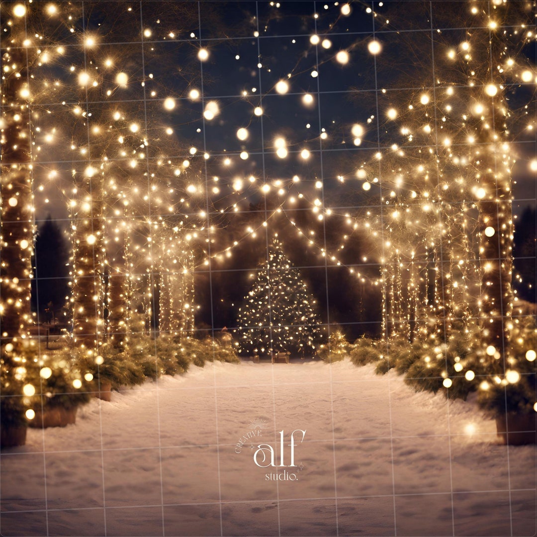 Magical Christmas Backdrop Tree Garden Backgrounds New Year Composite ...