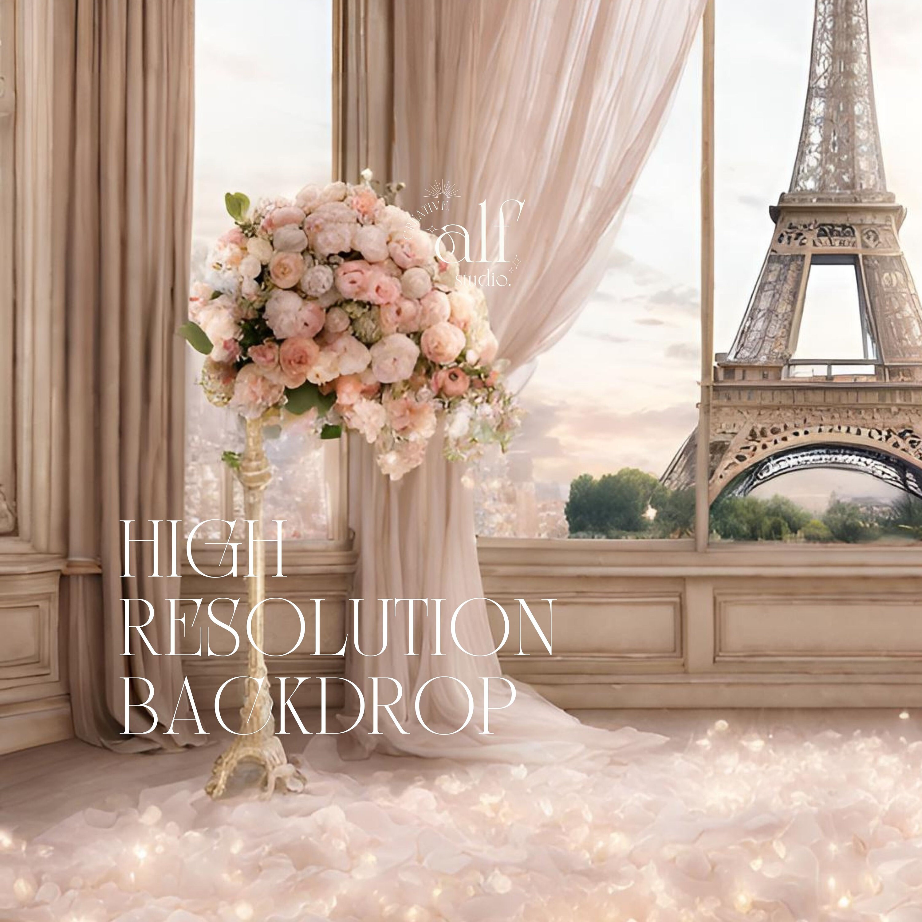 Eiffel Themed Wedding Backdrop in a Palace Digital Backgrounds for ...