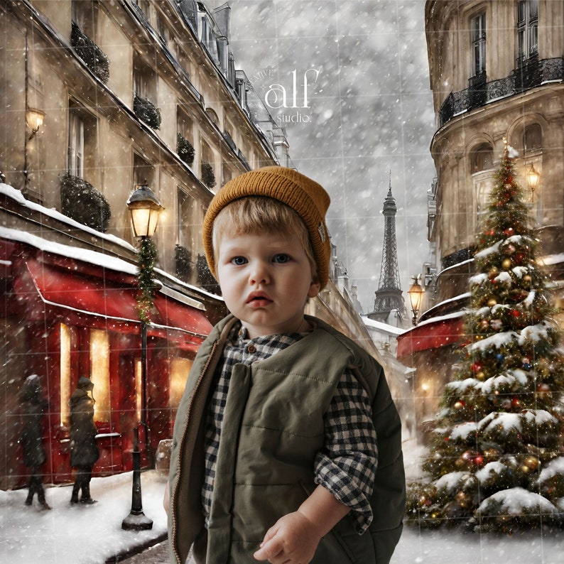 Paris Christmas Backdrops Xmas Paris Backgrounds Photo Props Studio ...