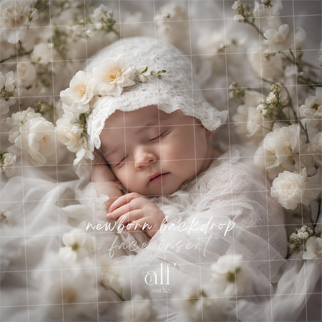 Sweet White Rose Backdrop Bliss Scene Floral Face Insert Decor Frosty ...