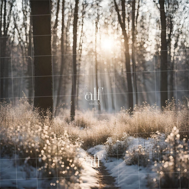 Snowy Forest Backdrop Overlay Snowy Landscape Backdrops Studio ...