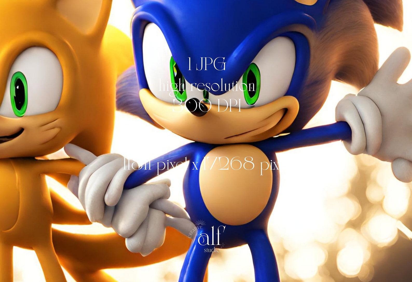 Sonic and Tails Digital Background Sonic the Hedgehog Backdrops ...