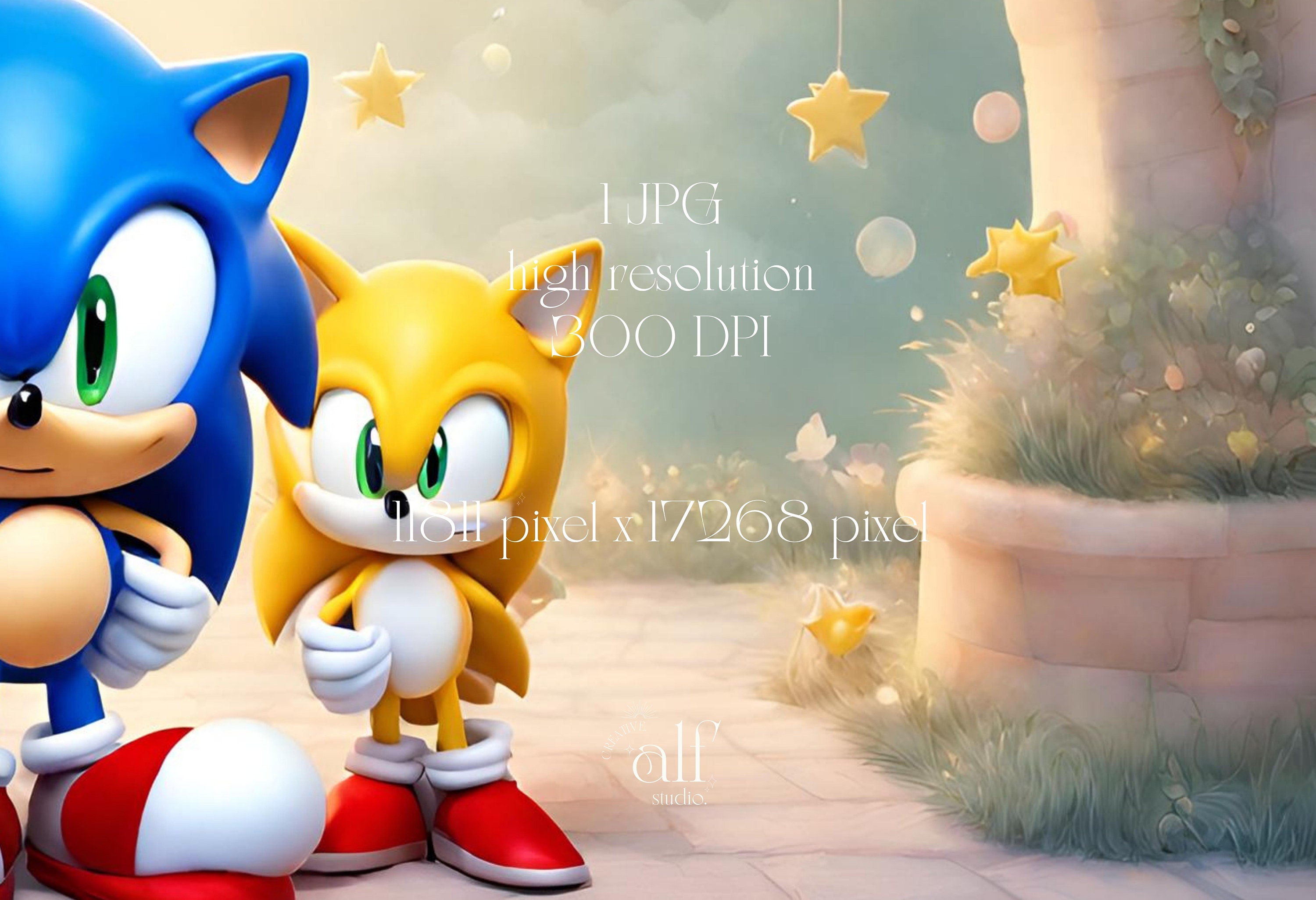 Sonic's Birthday Digital Download Sonic and Tails Studio Decor Sonic ...