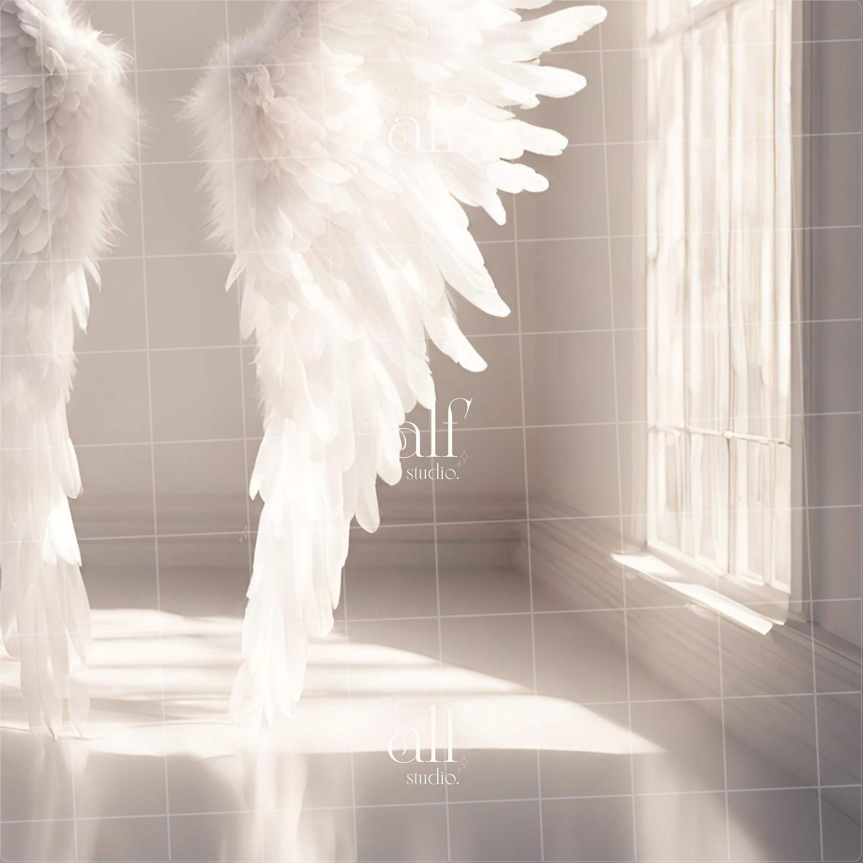 White Wings Backdrop White Angel Wings Background DIGITAL Studio ...