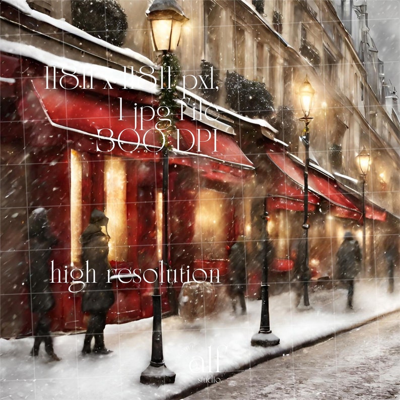 Paris Christmas Backdrops Xmas Paris Backgrounds Photo Props Studio ...