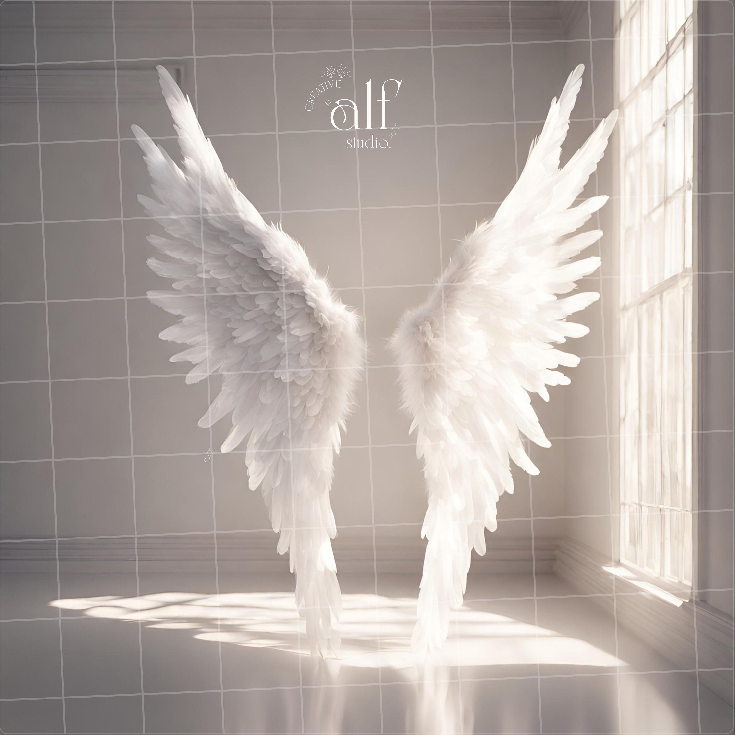 White Wings Backdrop White Angel Wings Background DIGITAL Studio ...