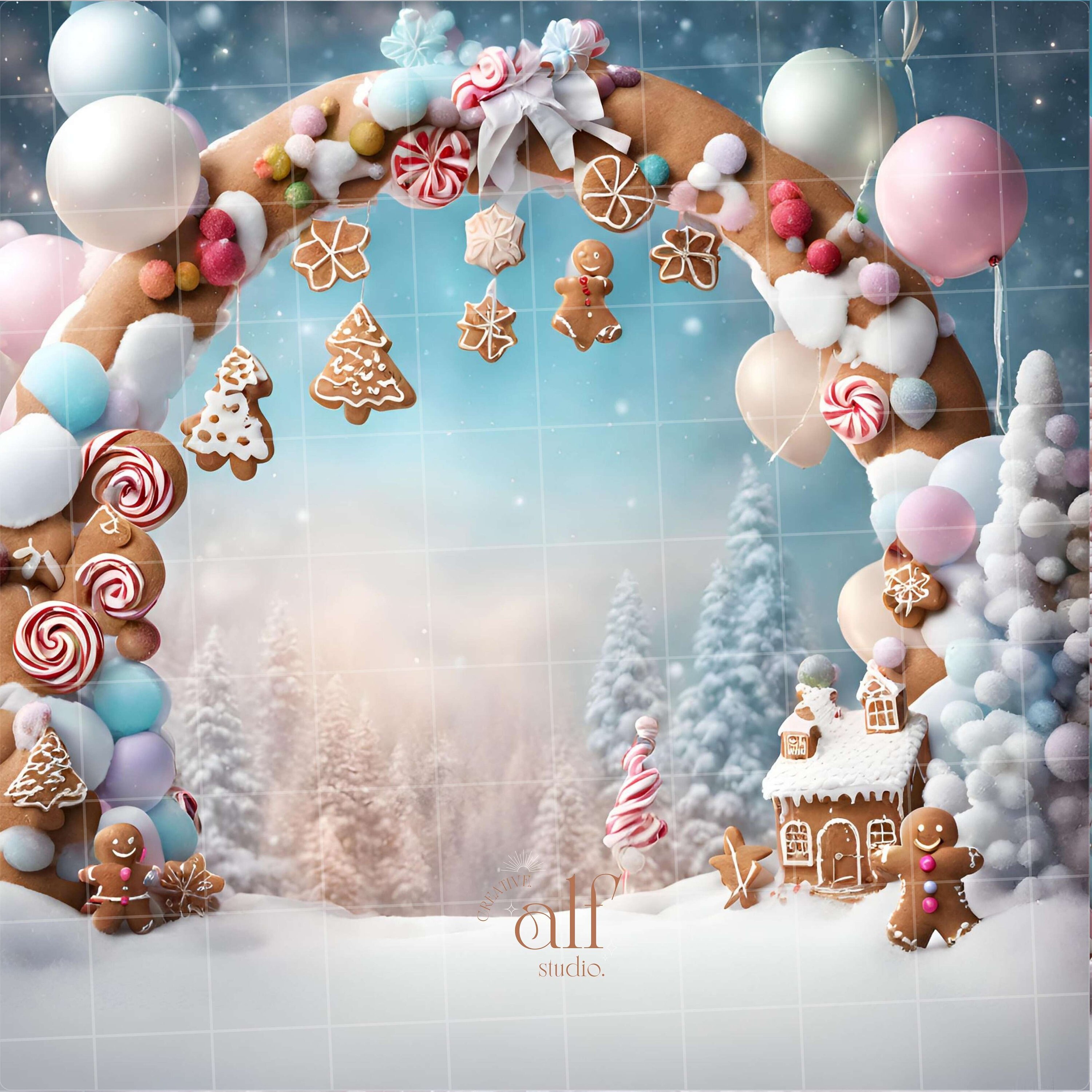 Winter Ginger Backdrops Festive Snowy Scenes Holiday Photography Studio ...