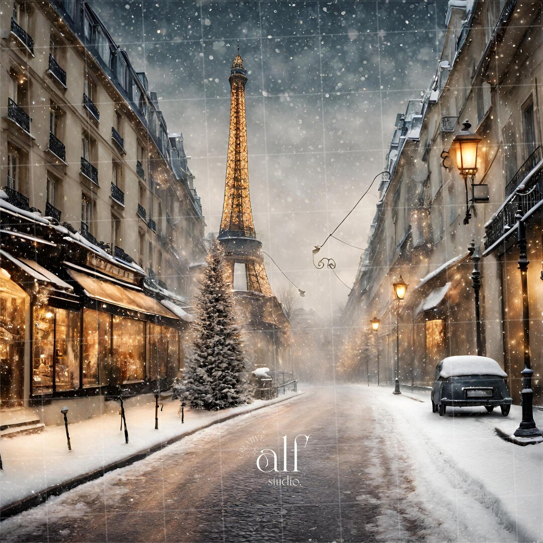 Paris Winter Christmas Backdrops Xmas Paris Backgrounds Photo Props ...