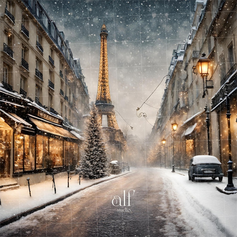 Paris Winter Christmas Backdrops Xmas Paris Backgrounds Photo Props ...