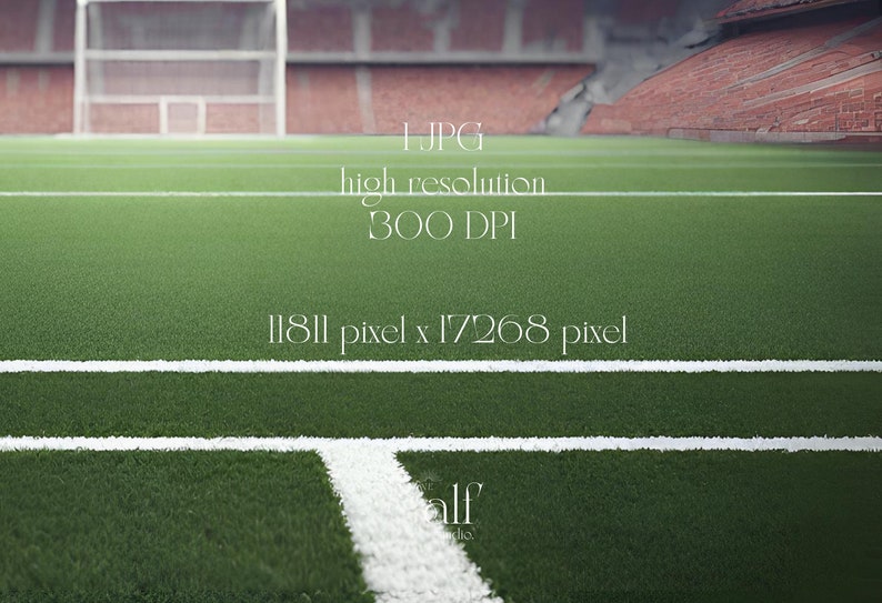 Sports Field Backgrounds Football Backdrops Sports Themed Backgrounds ...