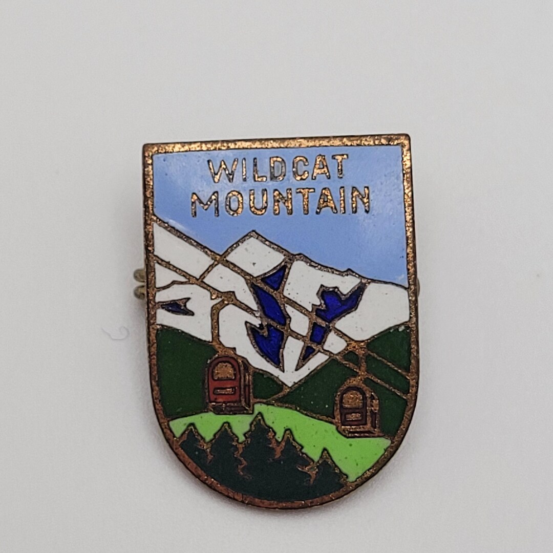 Vintage Wildcat Mountain Ski Lapel Pin Made in Austria - Etsy