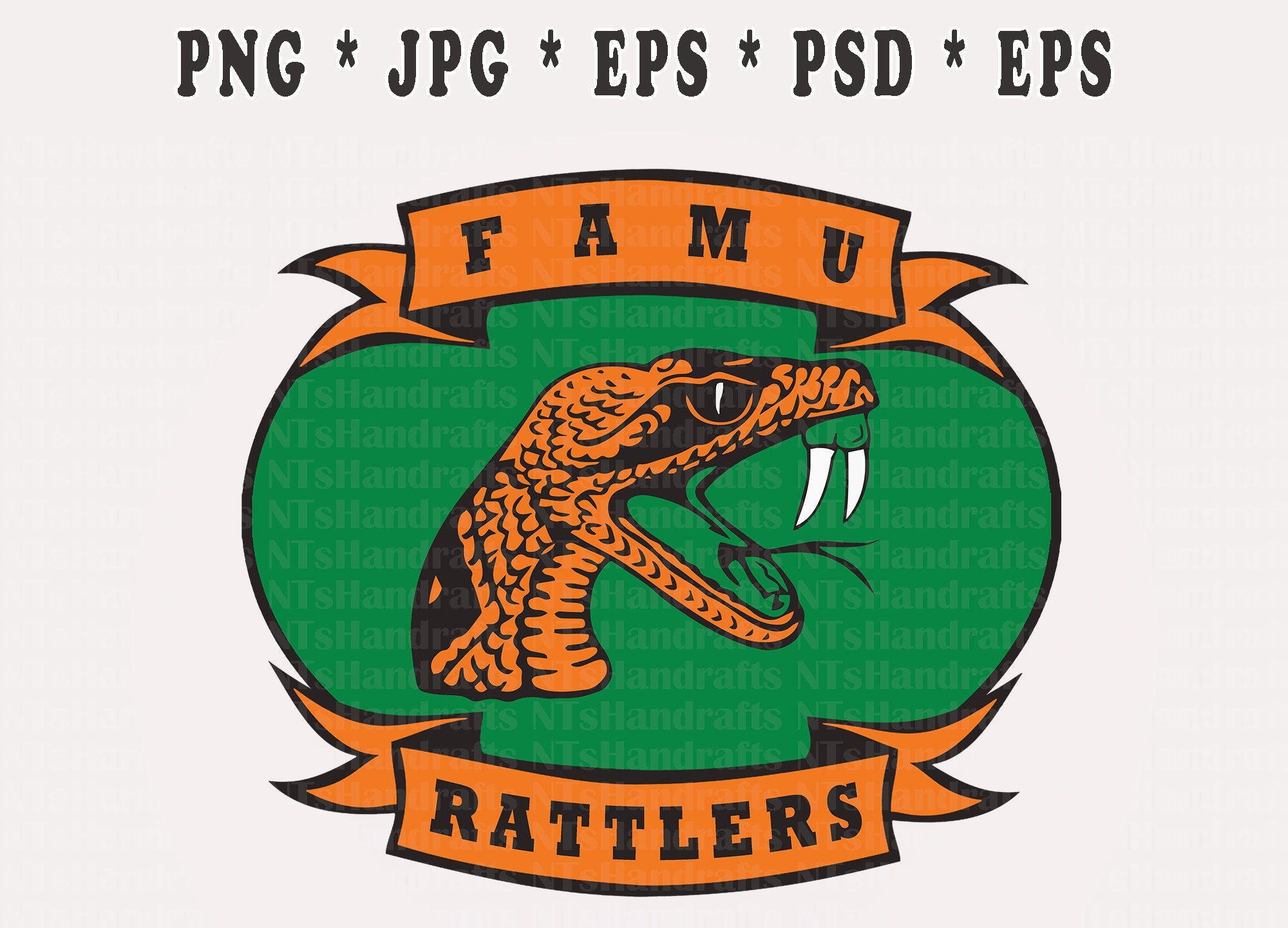 Famu New Beginnings Logo Design