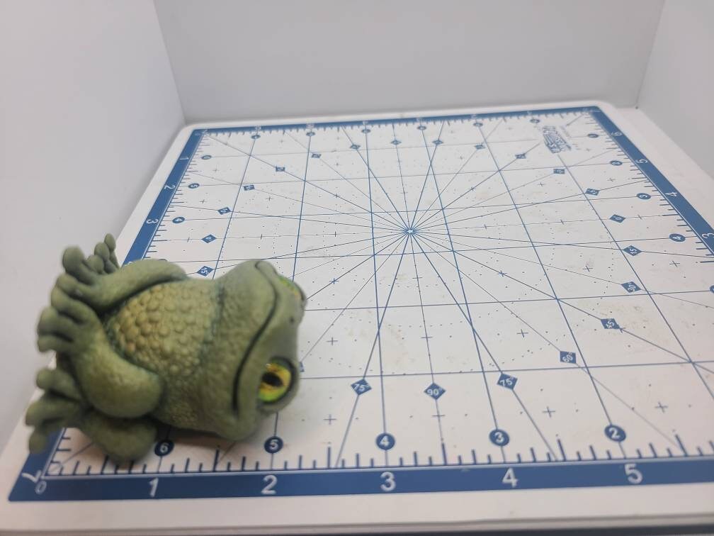 Frog Silicone Mold Amphibian Mold Frog Silicone Mold Soap Mold - Etsy