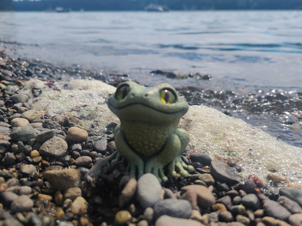 Frog Silicone Mold Amphibian Mold Frog Silicone Mold Soap Mold - Etsy