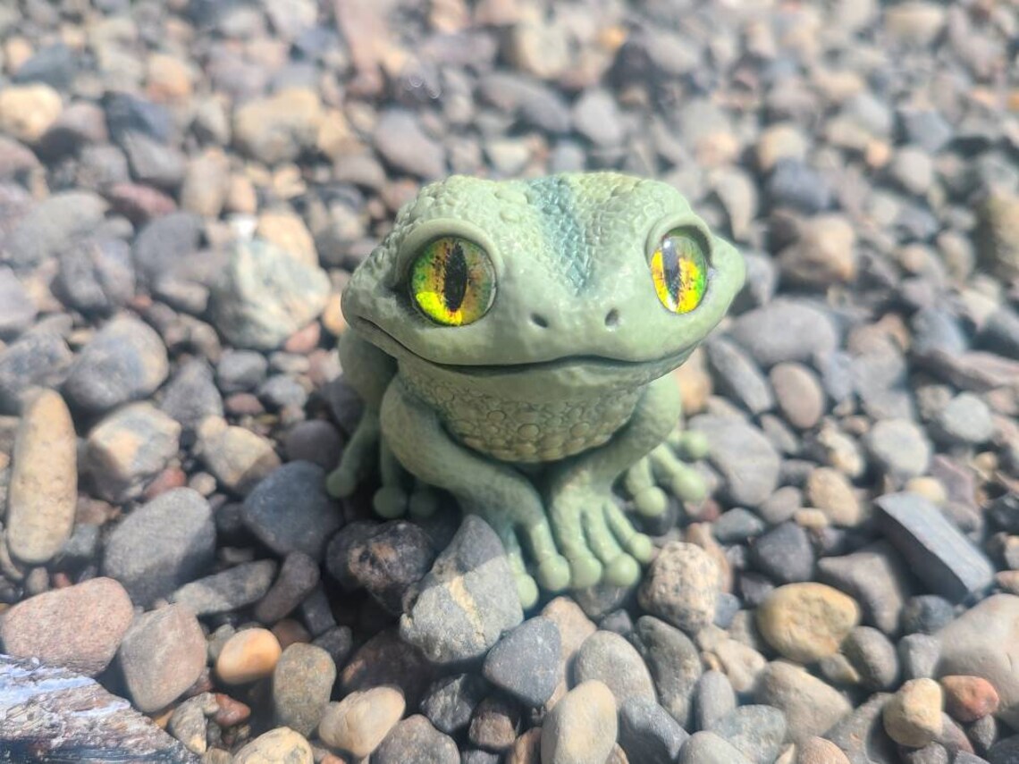 Frog Silicone Mold Amphibian Mold Frog Silicone Mold Soap Mold - Etsy