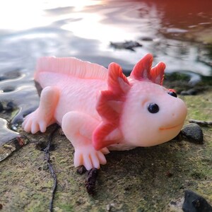 Axolotl Mold Baby Salamander Mold Salamander Mold Amphibian Mold Mold ...
