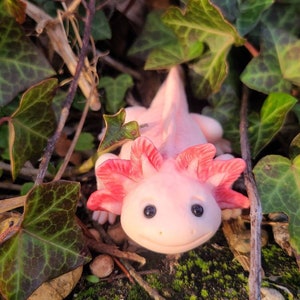 Axolotl Mold Baby Salamander Mold Salamander Mold Amphibian Mold Mold ...