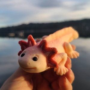 Axolotl Mold Baby Salamander Mold Salamander Mold Amphibian Mold Mold ...