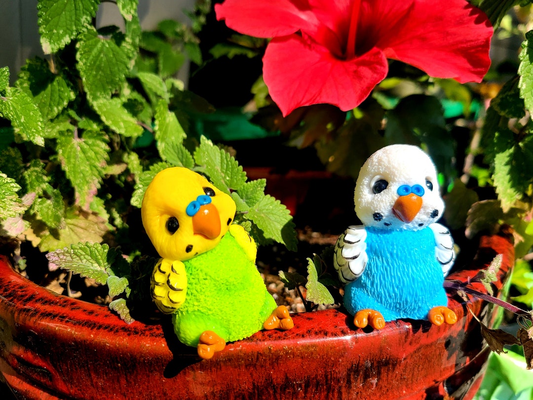 Budgerigar Bird Mold 3d Mold Parrot Mold Bird Silicone Mold Tropical ...