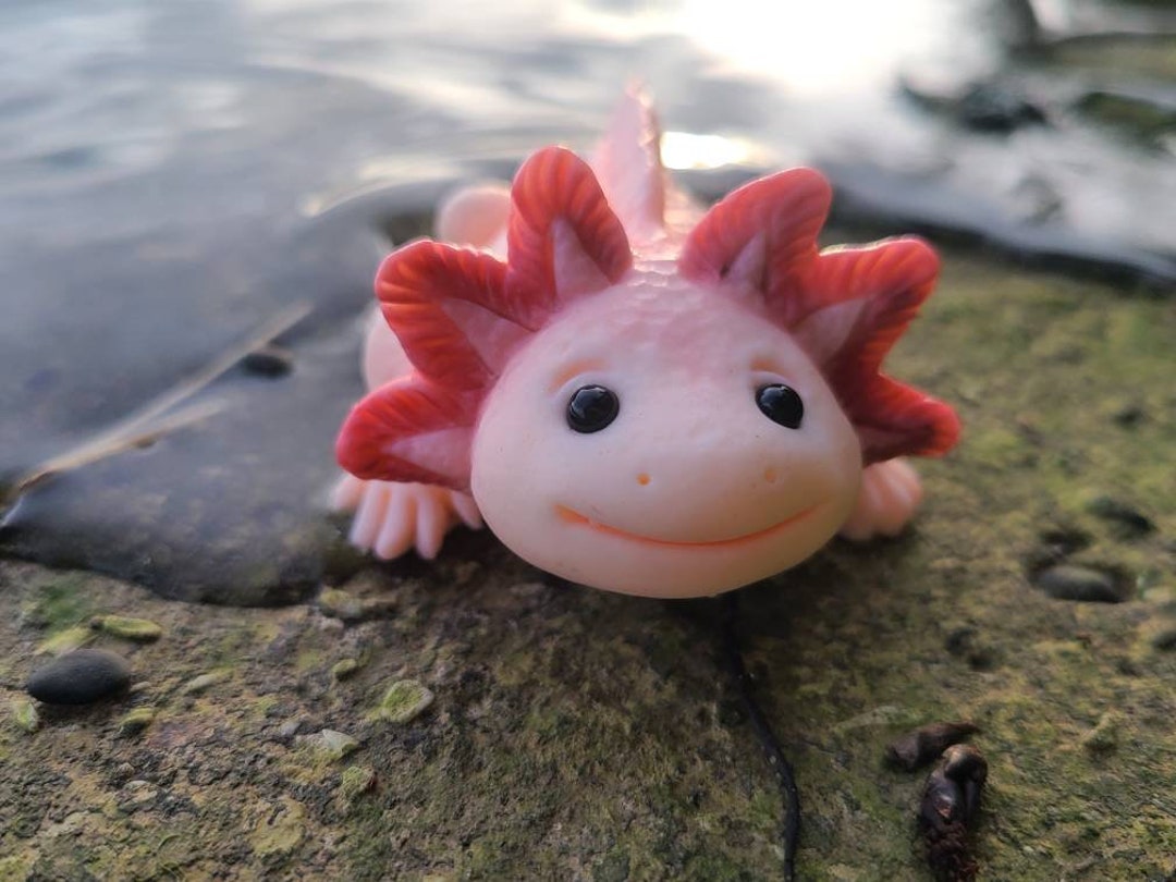 Axolotl Mold Baby Salamander Mold Salamander Mold Amphibian Mold Mold ...
