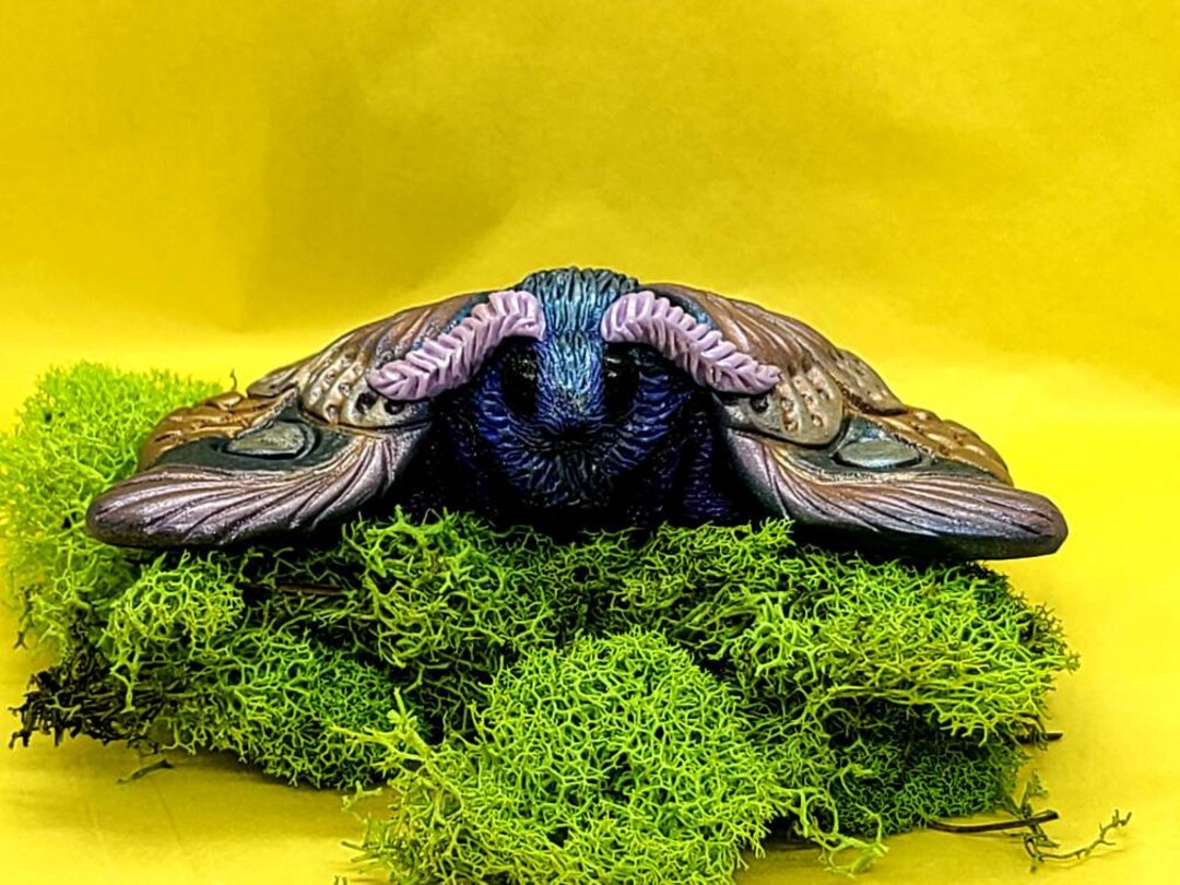 Insect Silicone Mold, Moth Soap & Cement Mold, Unique Decor - Etsy