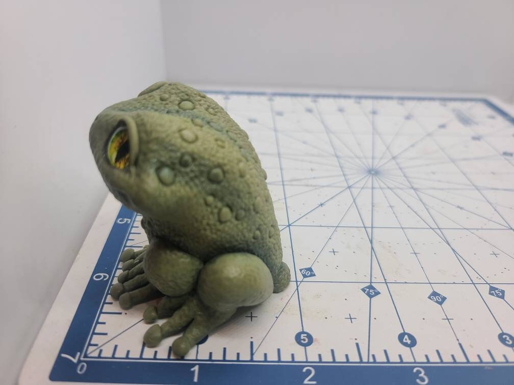 Frog Silicone Mold Amphibian Mold Frog Silicone Mold Soap Mold - Etsy