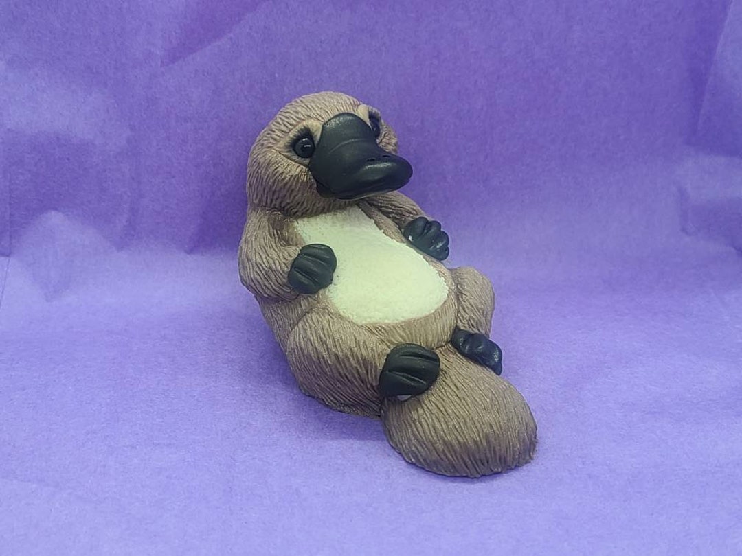 Platypus Silicone Mold Platypus Soap Mold Platypus Plastic Mold 3d ...