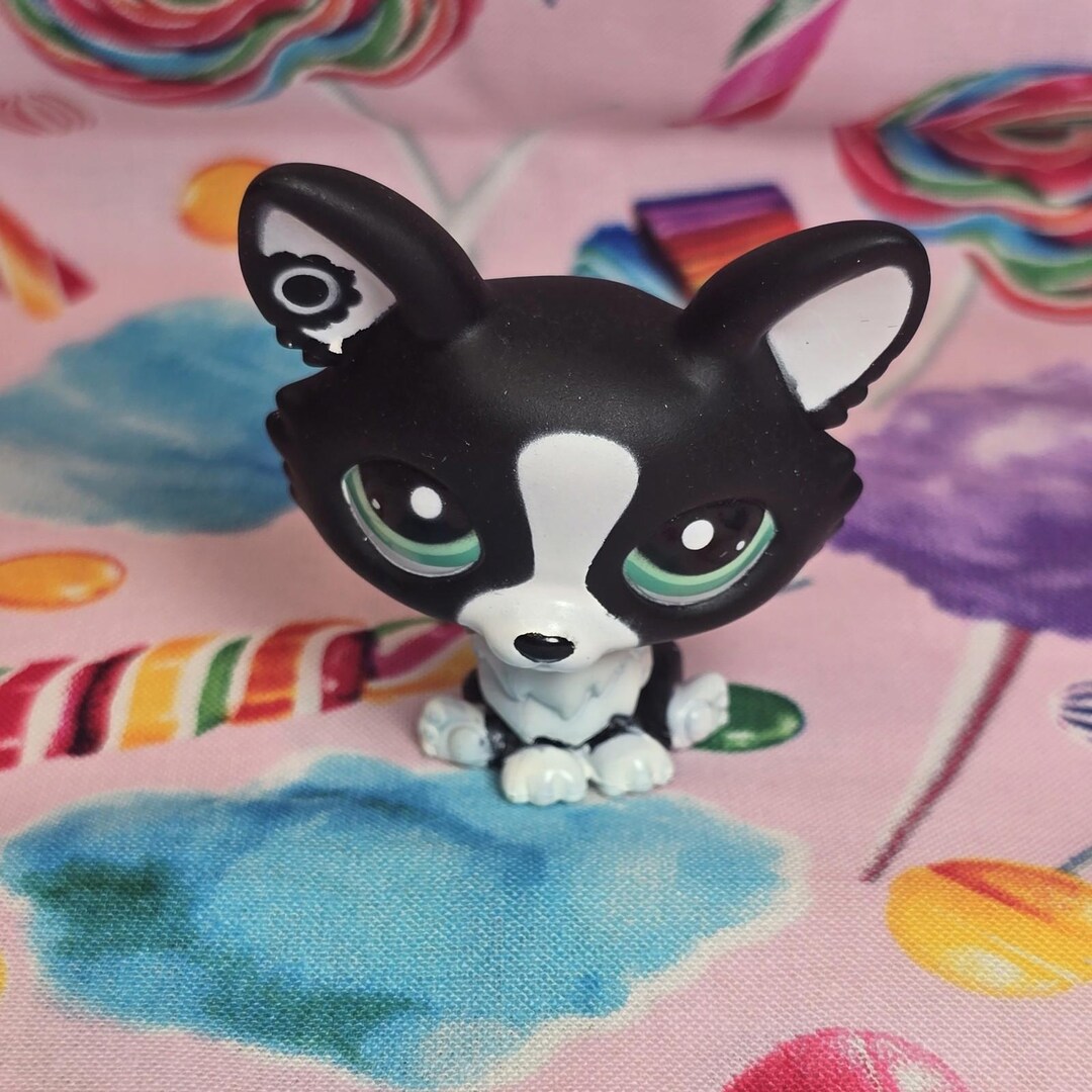 Littlest Pet Shop Authentic LPS #2245 Black White Blythe Corgi Puppy ...
