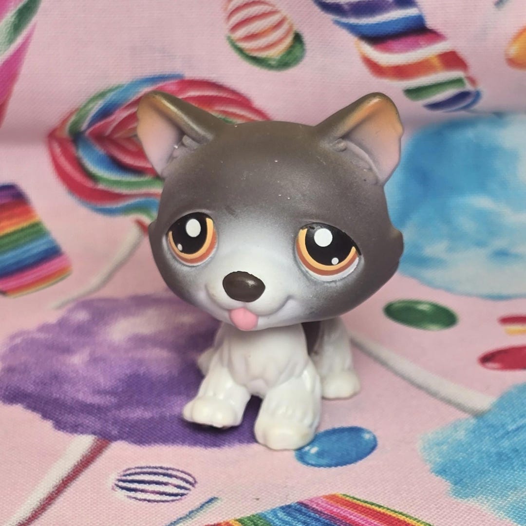 Littlest Pet Shop Authentic LPS #174 Black Brown White Husky Dog Orange ...