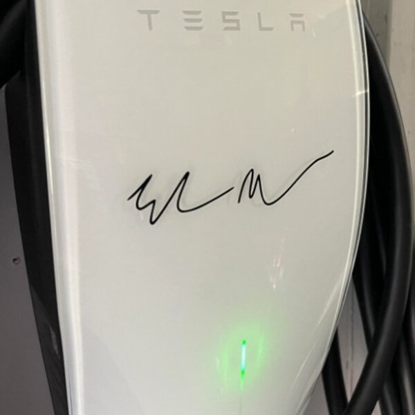 Elon Musk Sticker - Etsy