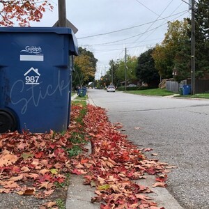 Garbage Bin House Number Set of 3 Recycle Bin Number Green Bin Trash ...