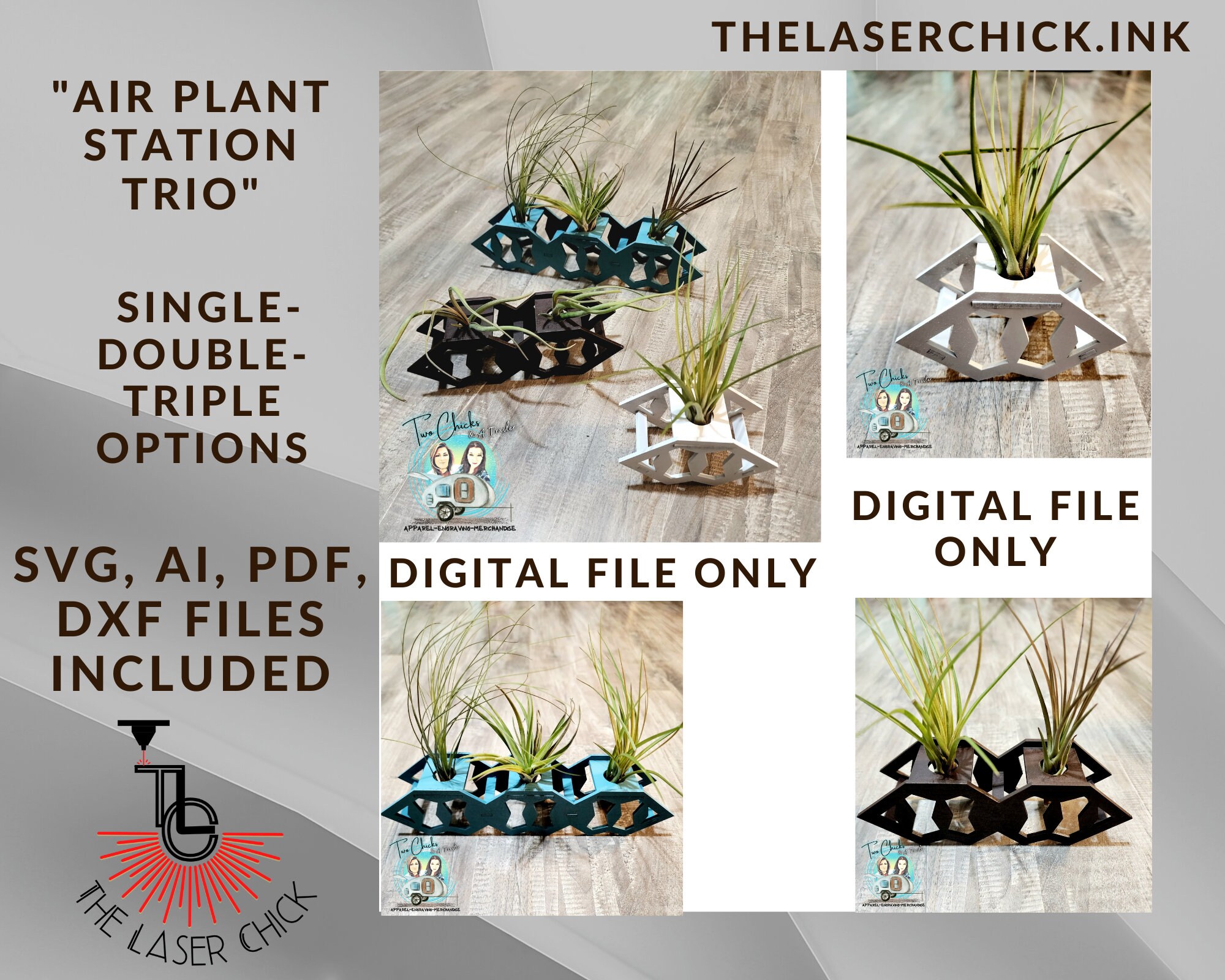 Air Plant Station Trio - Etsy