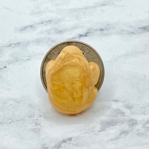 Pop Tart Frogs - Etsy