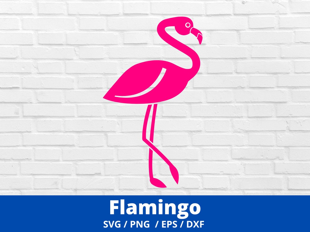 Flamingo Svg,flamingo SVG Cut File,flamingo Png,flamingo Svg for Cricut ...