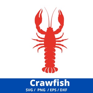 Crawfish Svg, Crayfish Svg, Crawfish Boil Svg, Mardi Gras Crawfish Svg ...