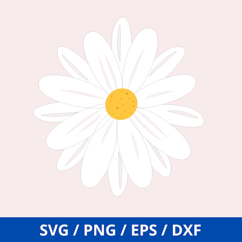 Daisy Flower Svg - Etsy