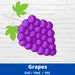 Grape SVG, Grapes Svg, Fruit Svg, Wine Svg, Grapes, Svg Cut File, Vine ...