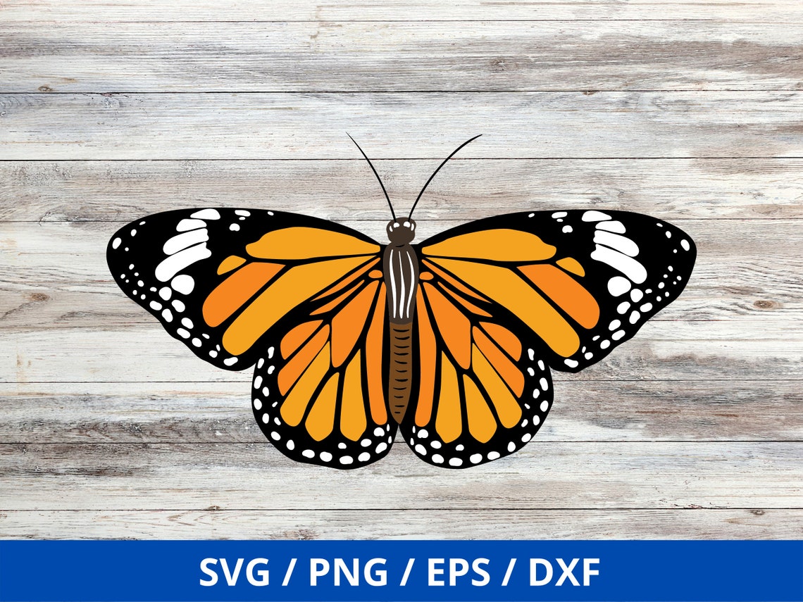 Butterfly SVG Butterflies Svg Butterfly Monarch Butterfly - Etsy