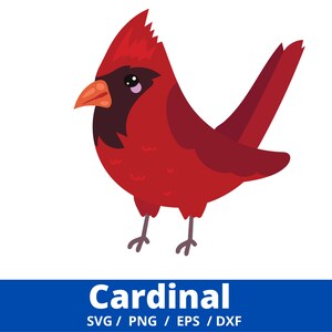 Cardinal Bird SVG, Northern Red Bird Svg, Red Cardinal, Cardial Clipart ...