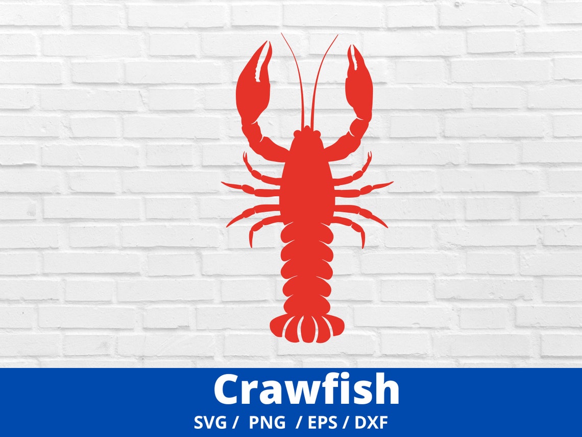 Crawfish Svg, Crayfish Svg, Crawfish Boil Svg, Mardi Gras Crawfish Svg ...
