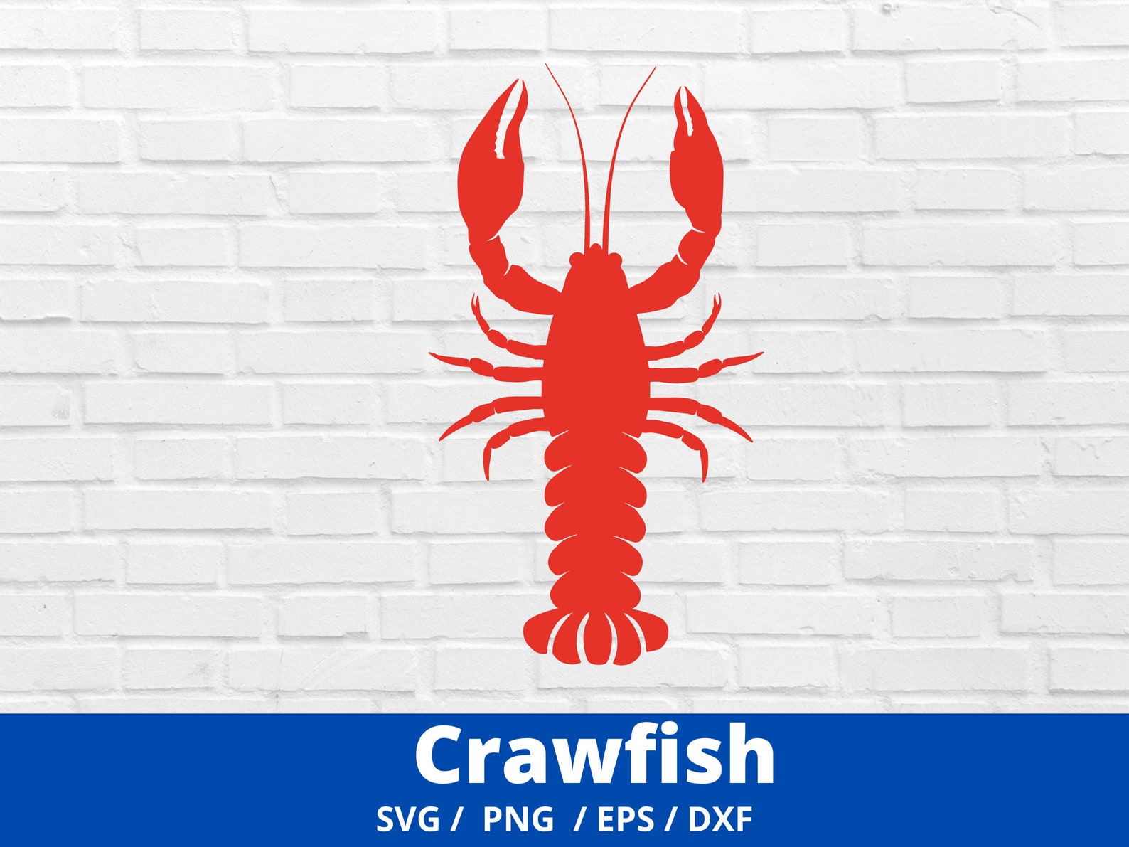 Crawfish Svg, Crayfish Svg, Crawfish Boil Svg, Mardi Gras Crawfish Svg ...