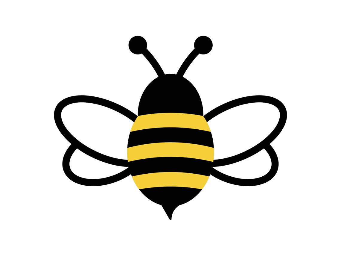 Bee SVG PNG Bumble Bee Honey Bee Svg Layered Cut File Bee - Etsy