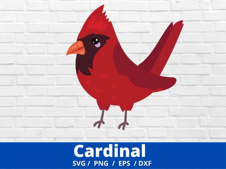 Cardinal Bird SVG Northern Red Bird Svg Red Cardinal - Etsy