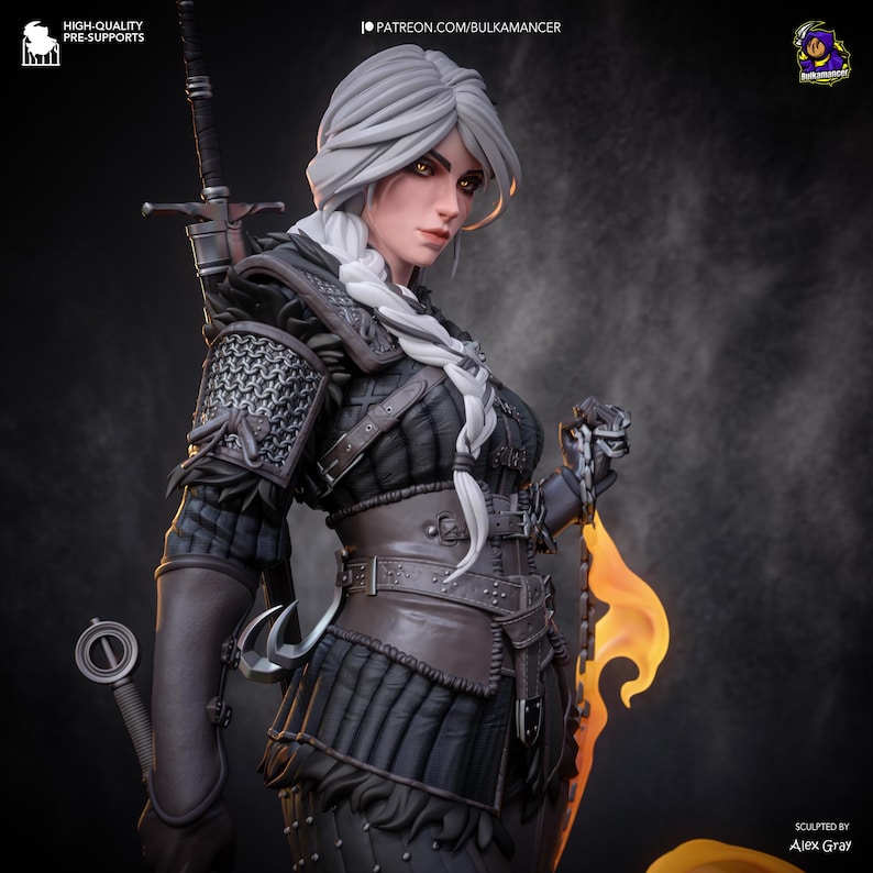 Ciri Garage Kit | Fanmade Model by Bulkamancer| the New Witcher | 3D ...